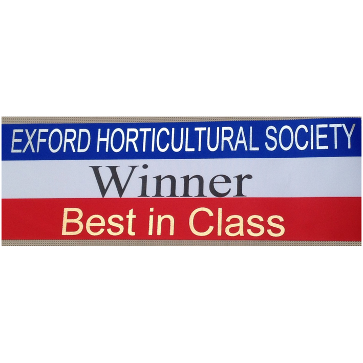 Tri-coloured Sash - printed on the front and back - Custom Party Wear